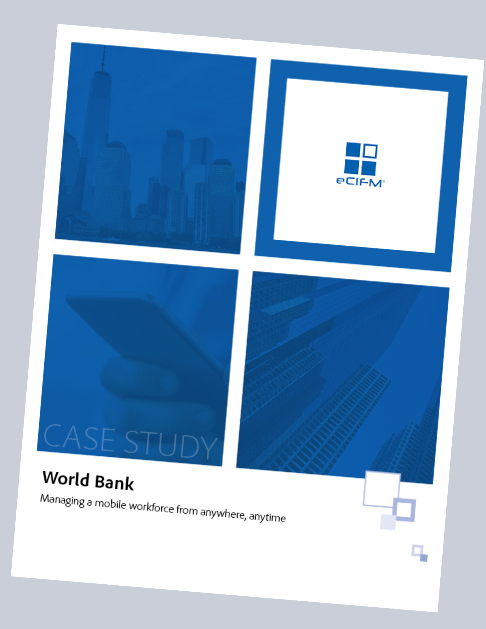 ECIFM World Bank Case Study ecifm-world-bank-case-study